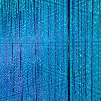 Jane Cui Email & Phone Number | Zhidao Capital Director of Investment ...