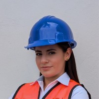 Karina Loredo Meza Email & Phone Number | ALUDEC SA Quality auditor ...