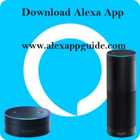 Alexa Guide Email & Phone Number | Amazon General Manager Contact ...