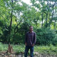 Hanmant Guddapure Email & Phone Number | UBS Associate Director Contact ...