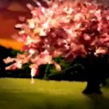 Natalie Albright Email & Phone Number | Univision VIZRT Animator and AR ...