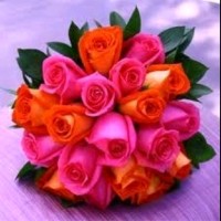 Enas Awad Email & Phone Number | Freelance, Riyadh System Developer ...