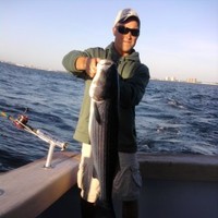 Timothy Fogarty Email & Phone Number | GEORGE HARMS CONSTRUCTION CO ...