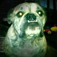 Peter French Email & Phone Number | Susquehanna International Group ...