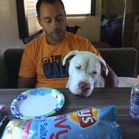 Shane Farmer Email & Phone Number | Cayuga milk ingredients Process ...