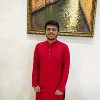 Pujan Ajmera Email & Phone Number | Bankai Infotech Business Analyst ...