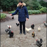 Kensjero Van Den Brand Email & Phone Number | E-Storage Product Owner ...