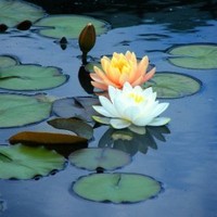 Robert Cramer Email & Phone Number | RALPH LAUREN Sweater Development ...