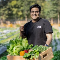 Varun Madan Email & Phone Number | Salad Days Founder, CEO Contact ...