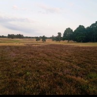 Simon Race Email & Phone Number | WALTON HEATH GOLF CLUB Head ...