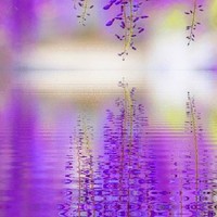 Katrina Moore Email & Phone Number | BlueScope Machine Operator Contact ...