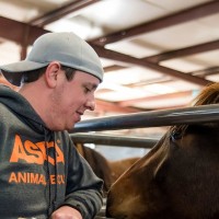 Justin Berry Email & Phone Number | ASPCA Vice President, Contact ...