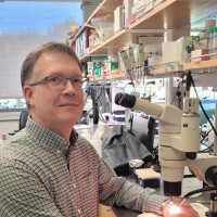 Scott Neal Email & Phone Number | None None Contact Information