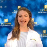 Erin Murphy Email & Phone Number | UC Davis Veterinary Medical Teaching ...