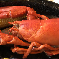 Ken Rohrer Email & Phone Number | Ricoh USA, Inc. President Contact ...